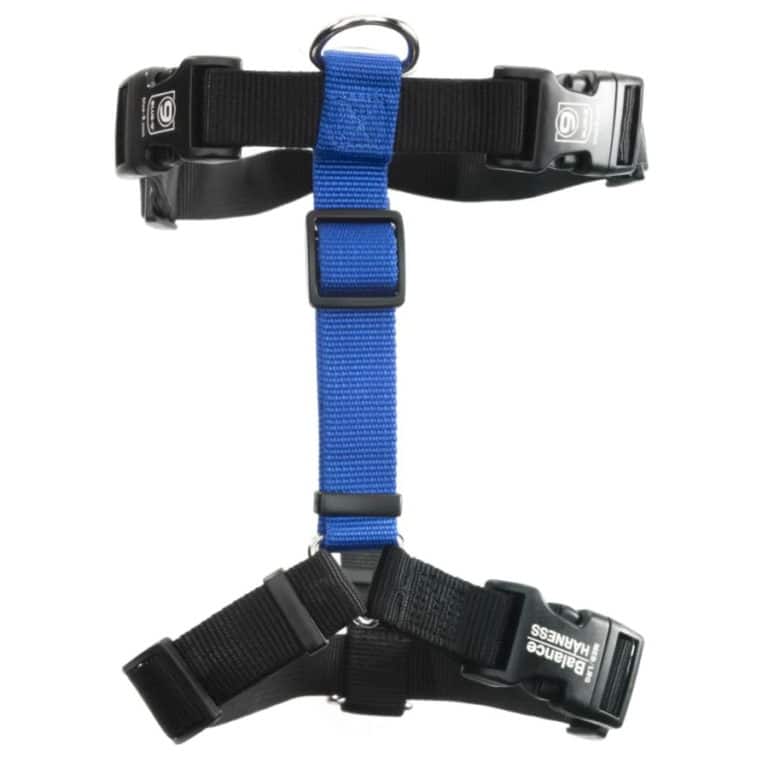 Blue-9 Balance Harness Buckle Hunter Green - Petworkz