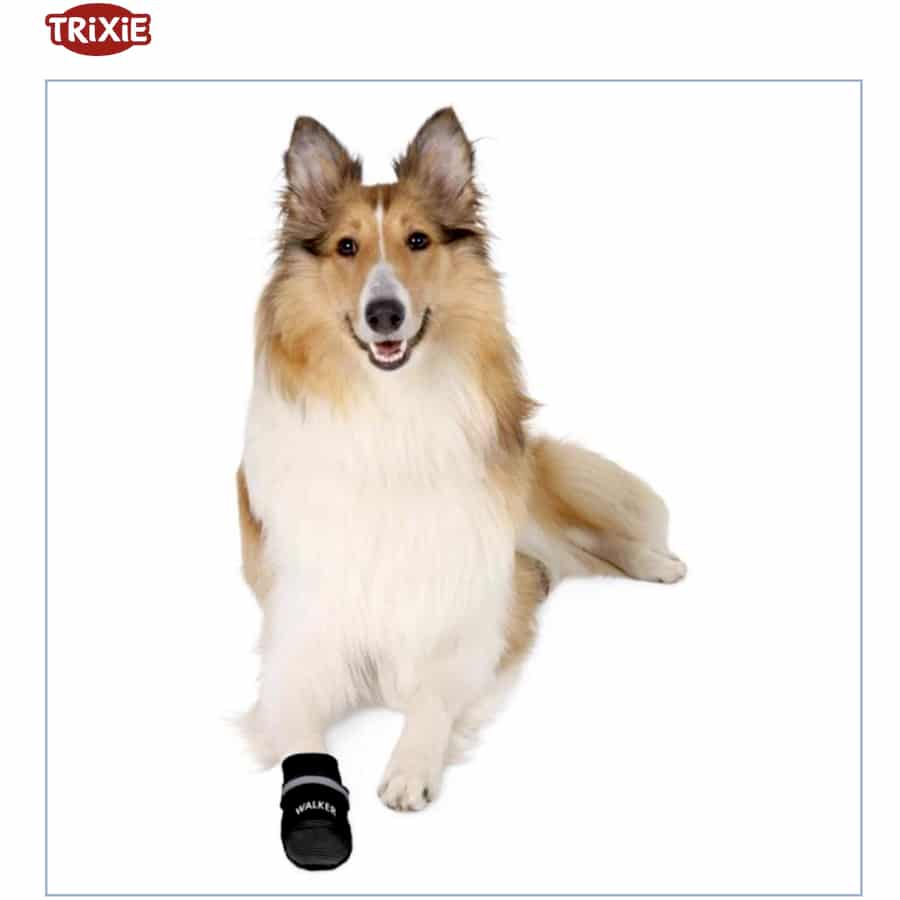 Trixie Walker Care Comfort Protective Boots For Dogs Pack 2 - Petworkz